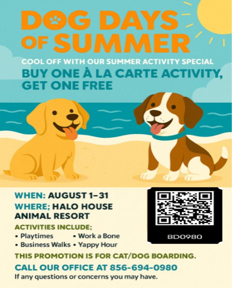 Special Offers - Halo House Animal Resort